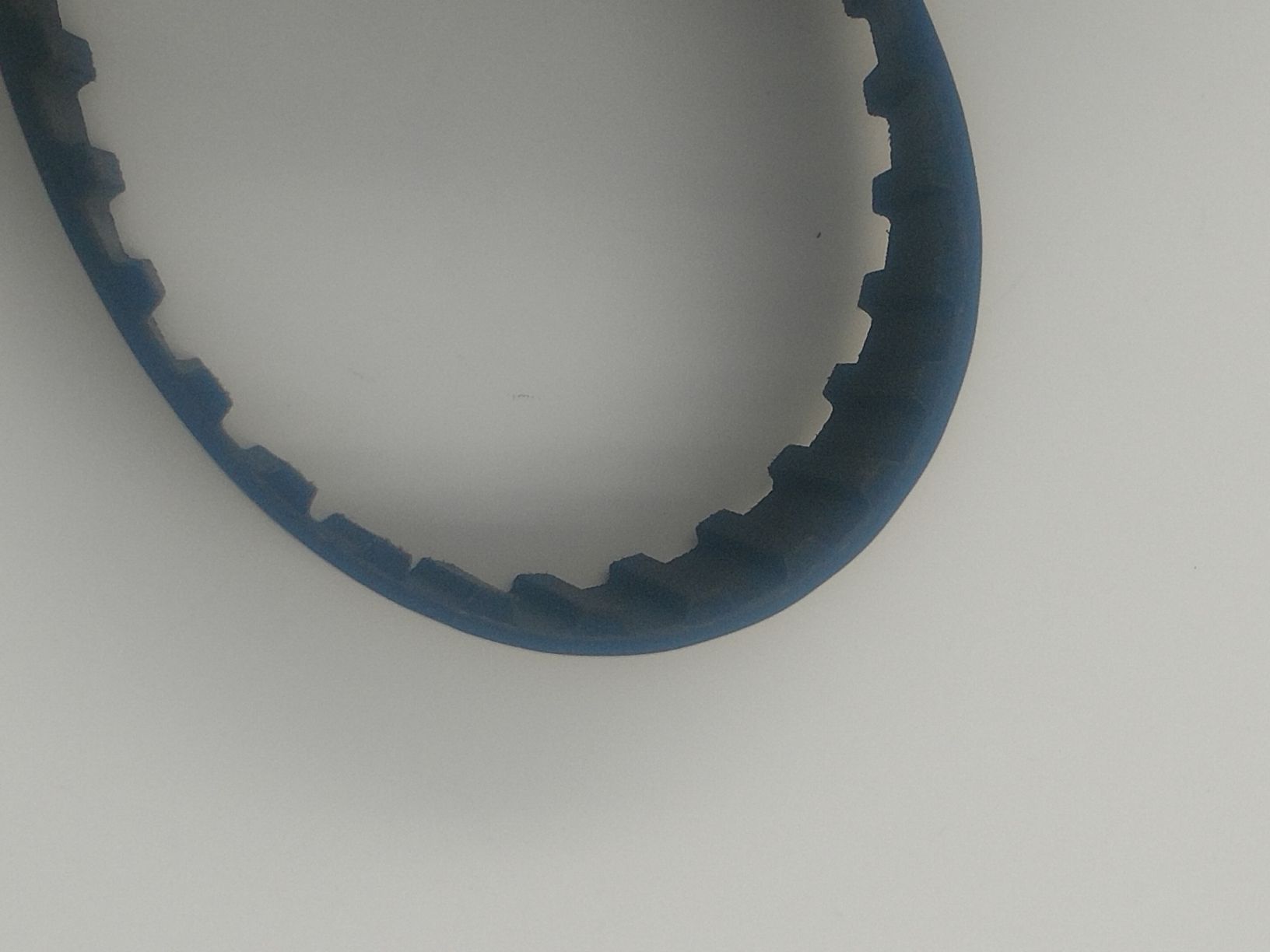 480 L 100 Timing Belt – Thompson Direct